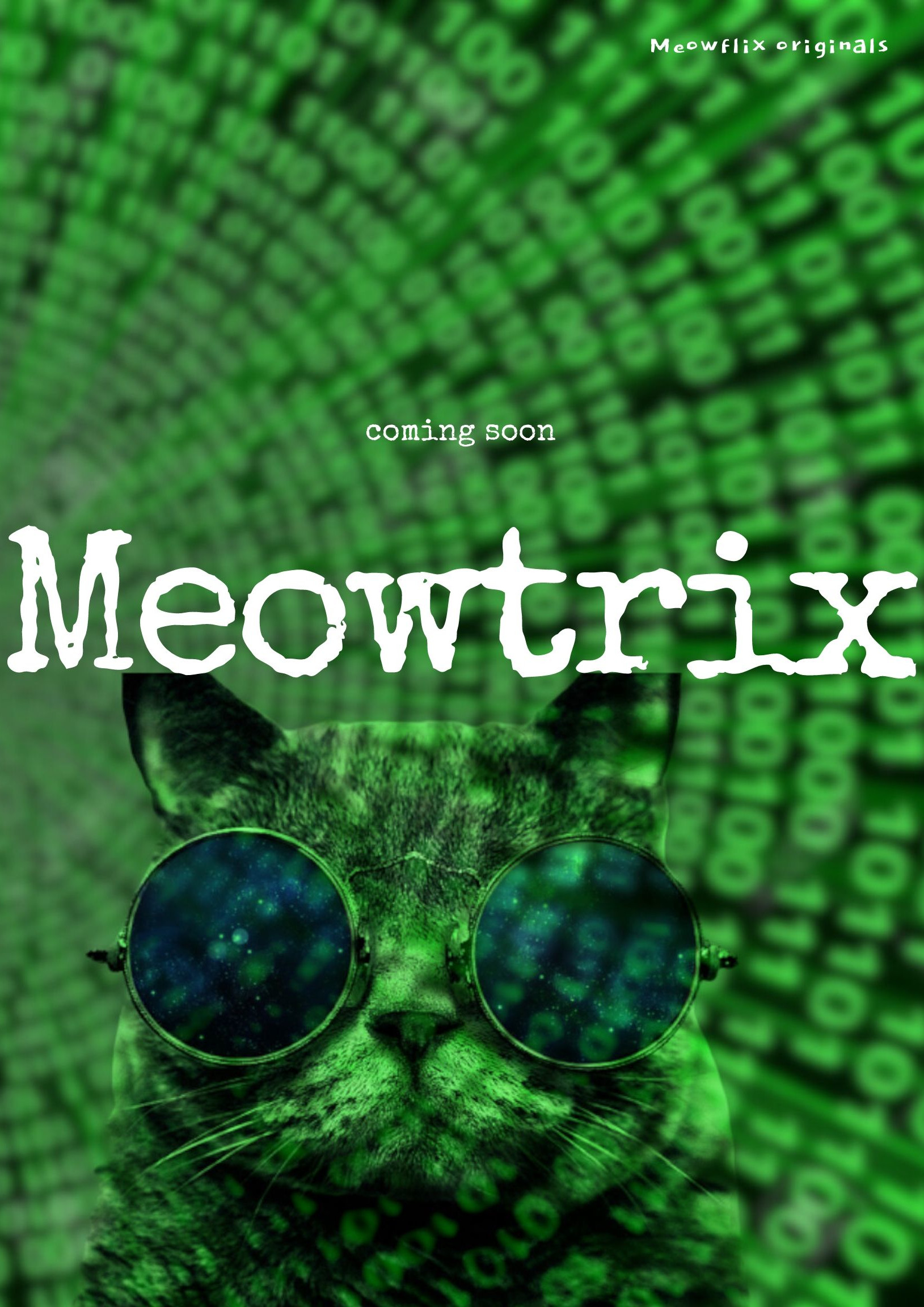Meowflix - the world's best cat-themed streaming service!