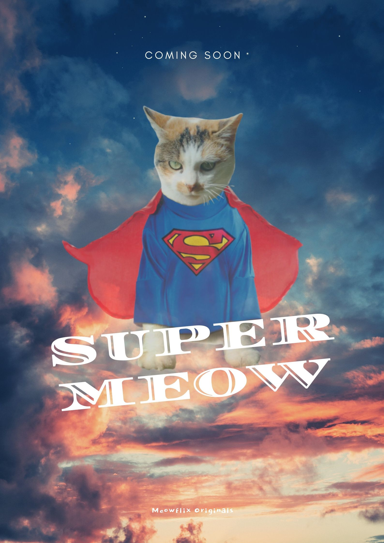Meowflix - the world's best cat-themed streaming service!