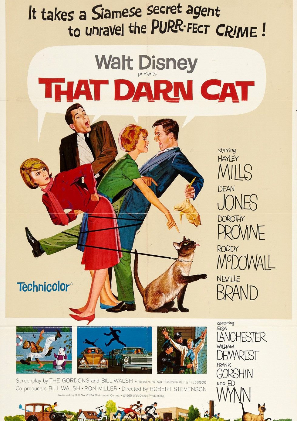 Meowflix - the world's best cat-themed streaming service!